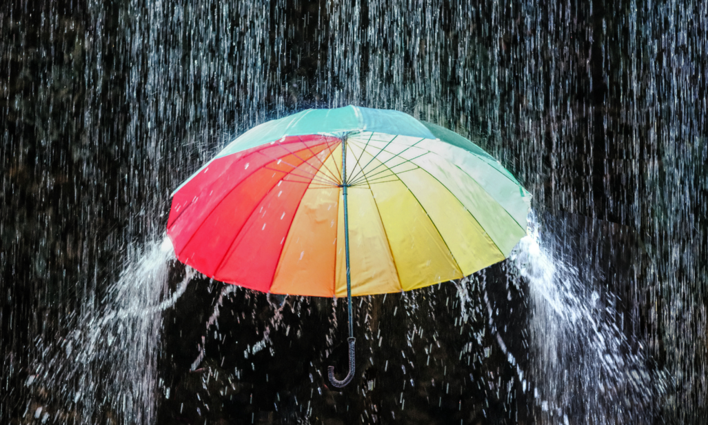 The Disability Umbrella - Huntington's Disease Society of America